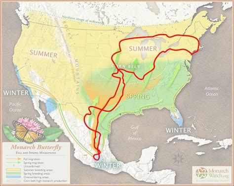 Monarch Butterfly Migration Map