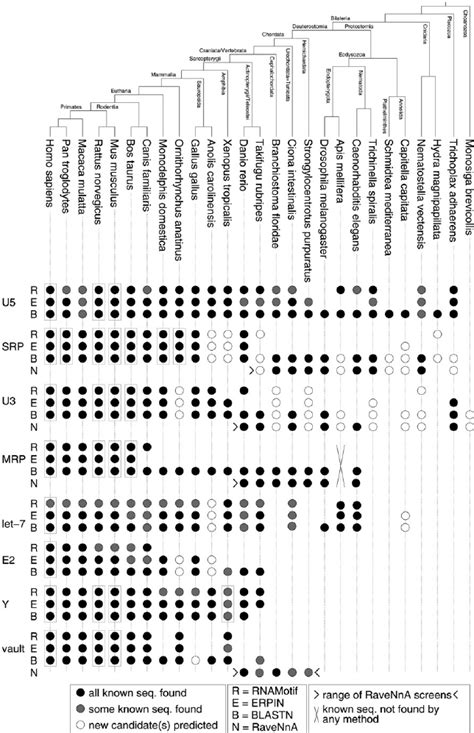 homology search results members of the training set are indicated by download scientific