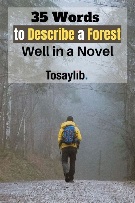 35 Words To Describe A Forest Well In A Novel Tosaylib In 2021