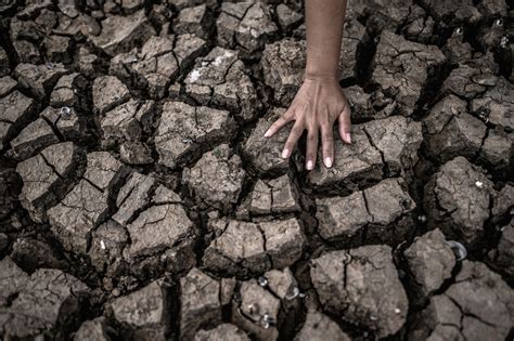 Crisis Hídrica en Chile Repensar la forma de hacer agricultura upaweb