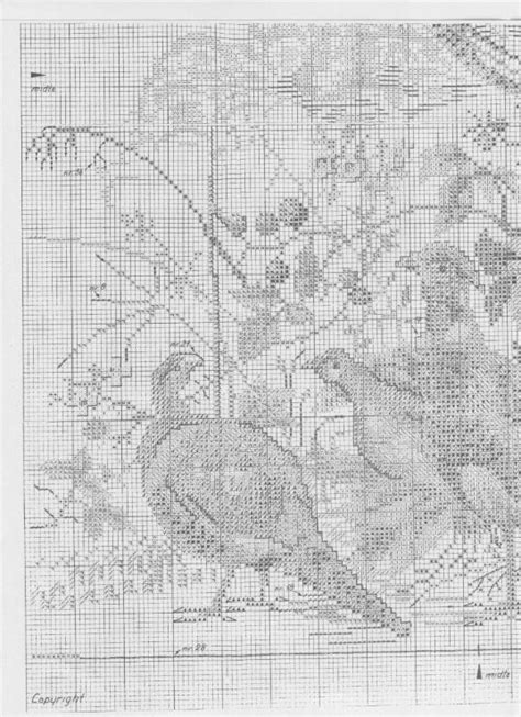 Gallery ru Фото 151 173 markisa81 Cross stitch bird Cross