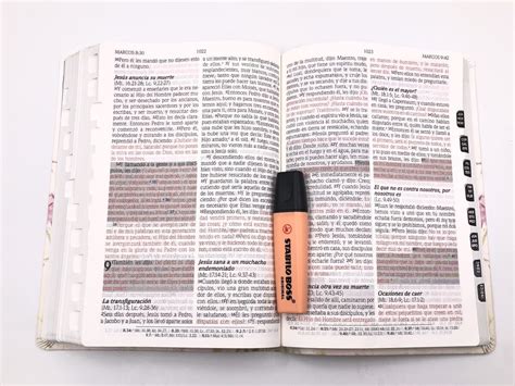 Santa Biblia De Promesas Reina Valera 1960 Letra Gigante 13 Puntos