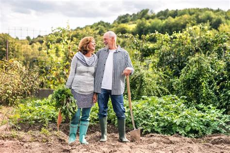 Senior Couple Gardening In The Backyard Garden Stock Image Everypixel