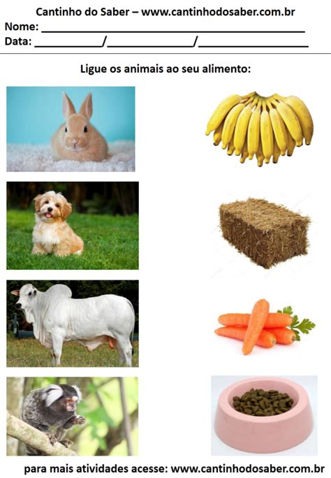 Atividades Educativas os animais Atividades para a Educação