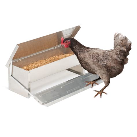 Top 105 Imagen Mangeoires Poules Fait Maison Fr Thptnganamst Edu Vn