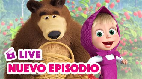 EN VIVO Masha Y El Oso Castellano Nuevo Episodio La Frambuesa