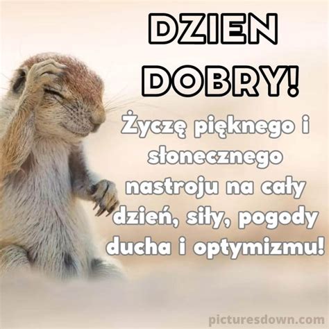 Kartka na dzień dobry życzę Fenek za darmo picturesdown