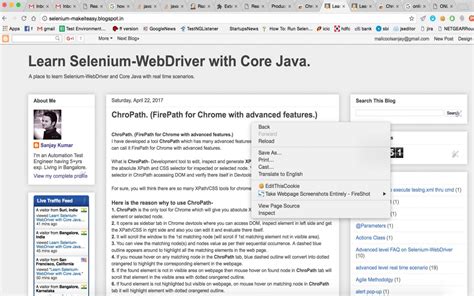selenium webdriver tutorial java with examples pdf