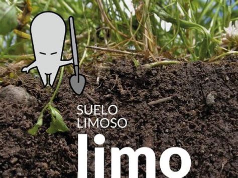 SUELOS LIMOSOS YouTube