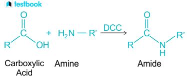 Reactions Of Amines Learn Types Differences Reagents Uses