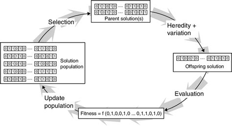 1 the evolutionary computation process genotypes representing download scientific diagram