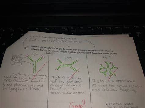 Micro Final Exam Flashcards Quizlet