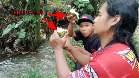 Mancing Di Sungai Kecil Air Deras Tidak Menyangka Malah Panen Ikan