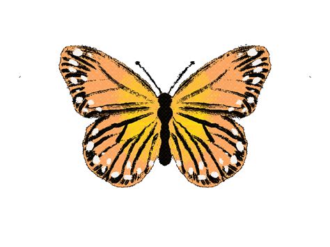 Borboleta E Inseto Gifs E Autocolantes Animados Gratuitos Pixabay