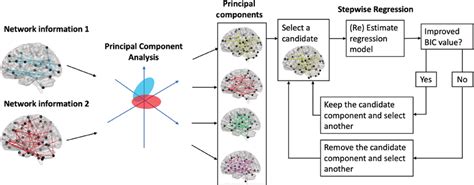schematic presenting the principal component regression with step‐wise download scientific