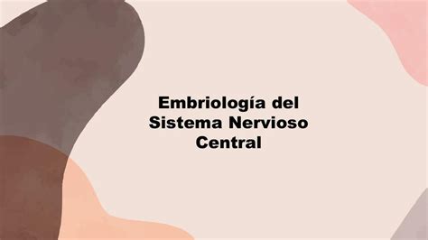 Embriología del Sistema Nervioso Central Gabriela Servin uDocz