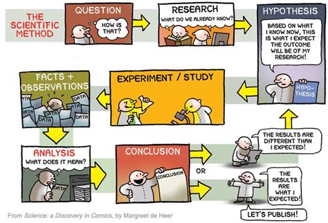 Scientific Method Diagram Quizlet