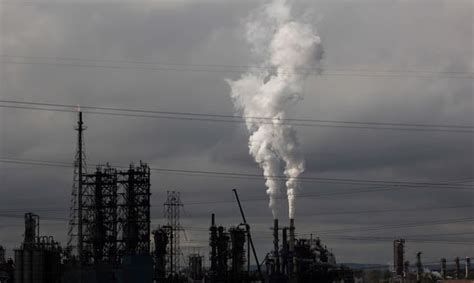 Cambiamento Climatico Cause E Conseguenze Spiegate In Modo Semplice