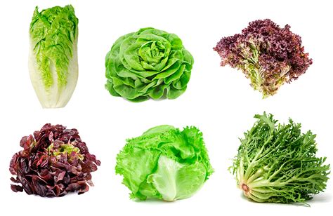 Todo lo que tienes que saber sobre la lechuga Mercado de Ermitagaña