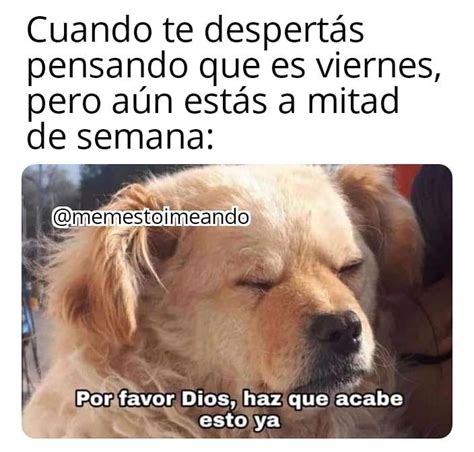 Sint Tico Foto Pero Si Ahora Tienes Tan Solo La Mitad Del Gran