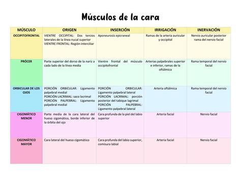 Músculos de la cara Juliana Molina uDocz
