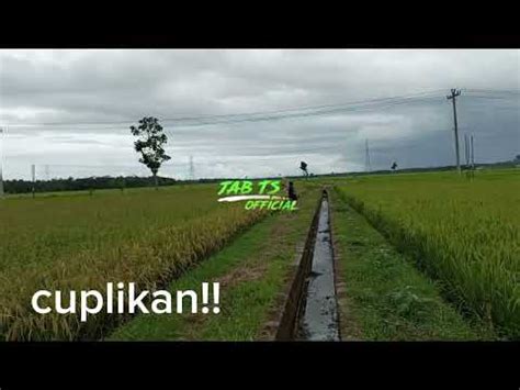 Uji Coba Penerbangan Layangan Gapangan Haripertana YouTube