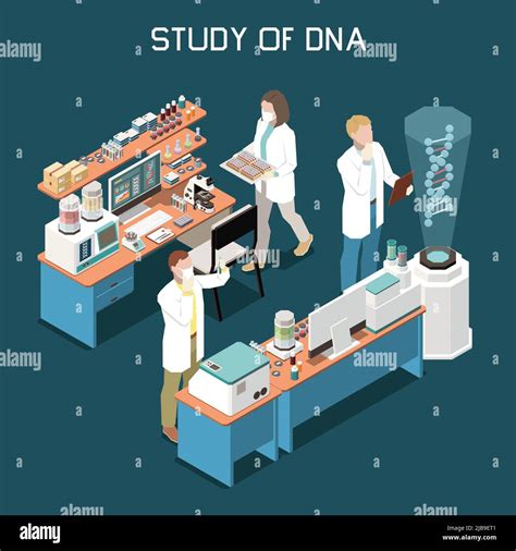 Scientists Studying Dna In Genetics Laboratory D Isometric Vector