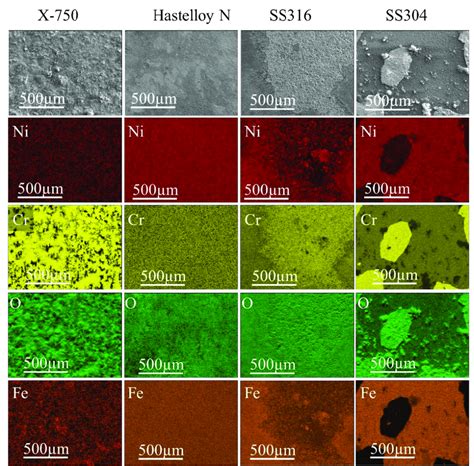 Sem Energy Dispersive X Ray Spectroscopy Edxs Elemental Maps Of Ni