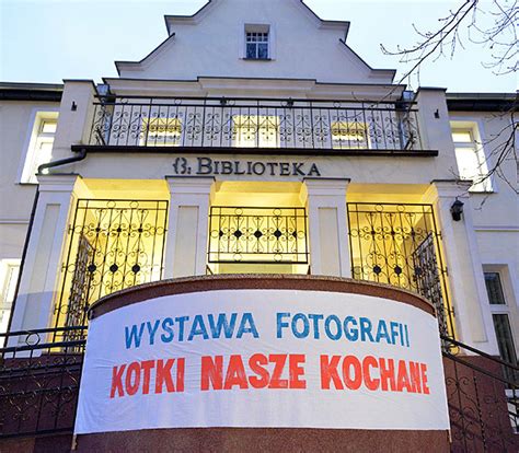 Świnoujście iswinoujscie pl Koty kocięta kociaczki w Bibliotece