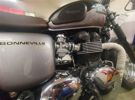 TRIUMPH BONNEVILLE T100 Naked Bike im Kanton Graubünden tutti ch