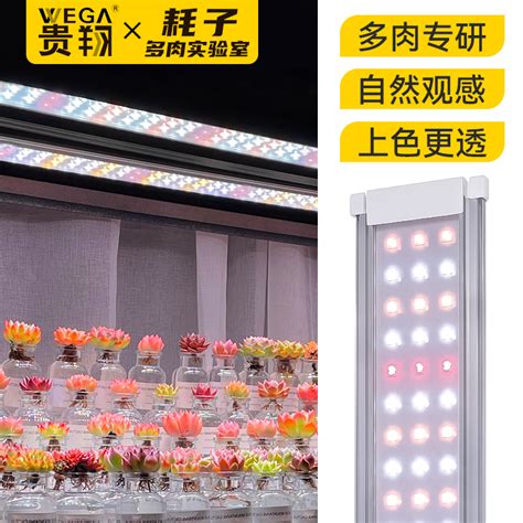 耗子实验室贵翔多肉补光灯上色全光谱多芯LED植物生长灯 虎窝淘