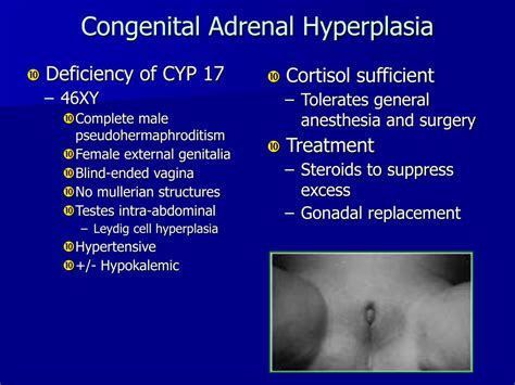 Congenital Primary Adrenal Insufficiency And Selective Aldosterone Sexiezpix Web Porn