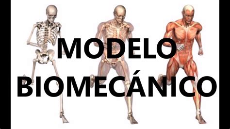 Modelo Biomec Nico En Terapia Ocupacional Youtube
