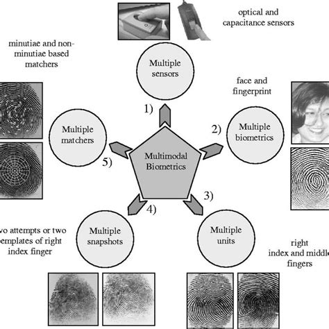 pdf an introduction to biometric recognition