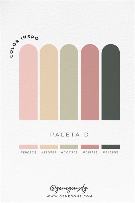 The Color Palette For Paled