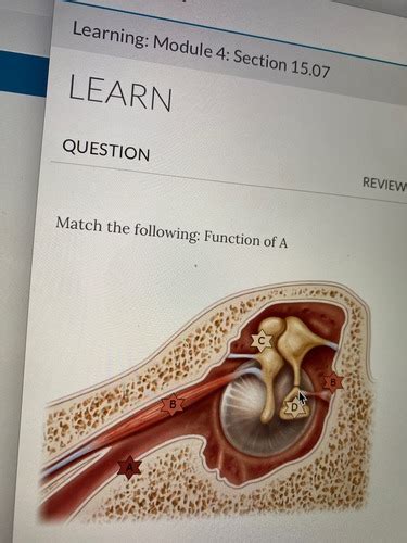 Ch Pearson Flashcards Quizlet