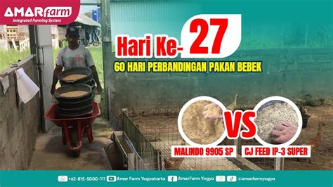Part Hari Perbandingan Malindo Sp Vs Cj Feed Ip Super