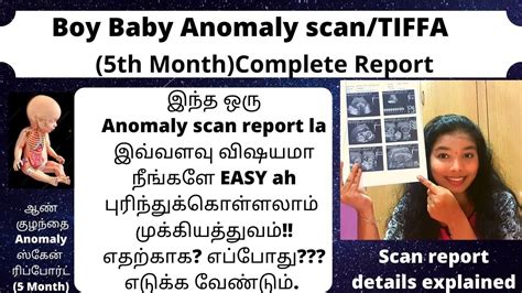 Boy Baby Anomaly Scan 5th Month Report Details In Tamil TIFFA Scan
