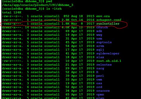 oracle 19c database installation on linux 7 6 on vmware workstation learnomate technologies