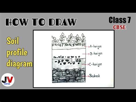 Soil Profile Diagram How To Draw Soil Profile Diagram Of Soil Profile