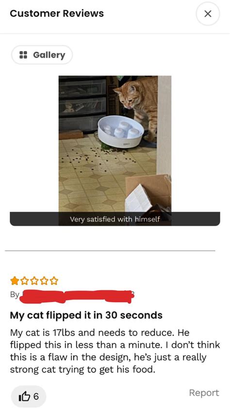 Best U Zvezd Pad Images On Pholder I Was Looking At Reviews For A