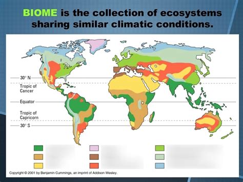 Ecology Chapter 4 Diagram Quizlet