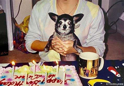 夢到13歲愛犬來道別 她急打電話回台 聽到崩潰噩耗秒潰堤 ETtoday寵物雲 ETtoday新聞雲