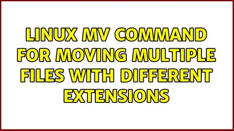 linux mv command for moving multiple files with different extensions 2 solutions youtube
