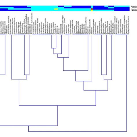 Two Way Hierarchical Clustering Analysis Of Coral Reef Fish Based On