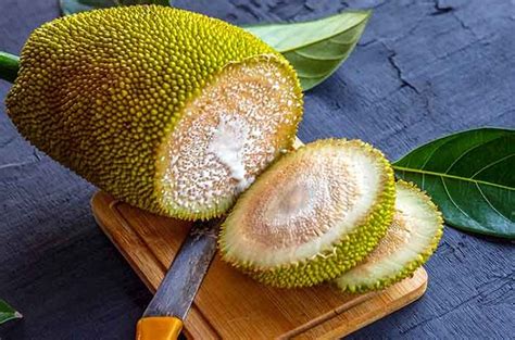 6 Manfaat Konsumsi Buah Nangka Bagi Kesehatan