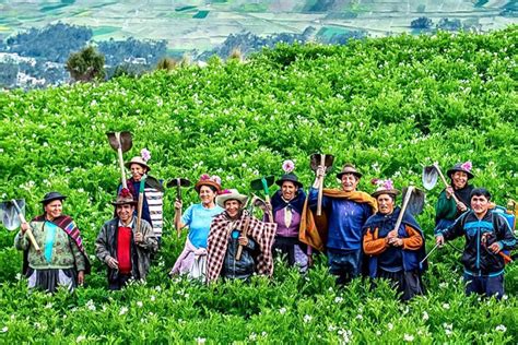 D A Del Campesino En Per Conoce El Significado Y La Importancia De