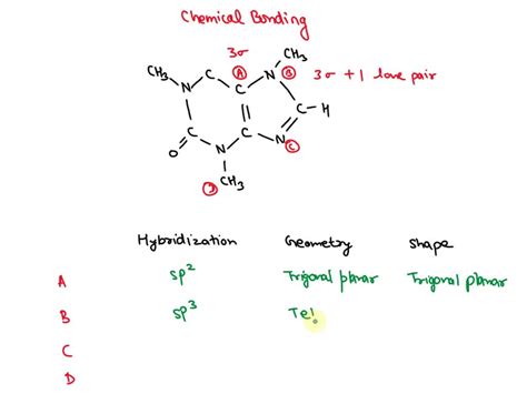 SOLVED Below Is Caffeine Label A D With Their Hybridization Shape