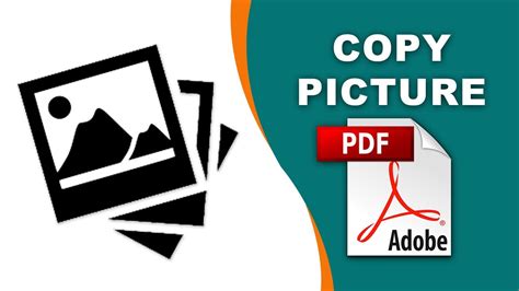 how to copy and paste a picture into a pdf file edit pdf using adobe acrobat pro dc youtube