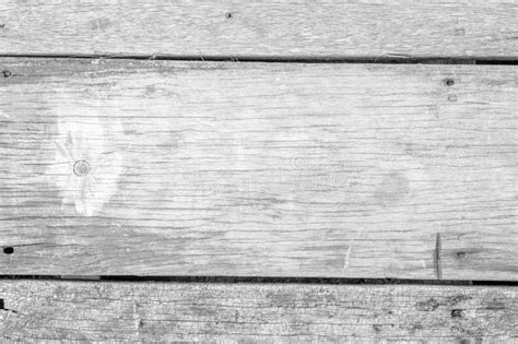 Surface De Bois Blanc Fond De Texture Naturelle Image Stock Image Du